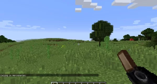 Raiders - мод на рейдеров для Minecraft 1.12.2, 1.11.2, 1.10.2 скачать ...